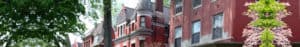 The Witches' Tree Louisville - Louisville Historic Tours