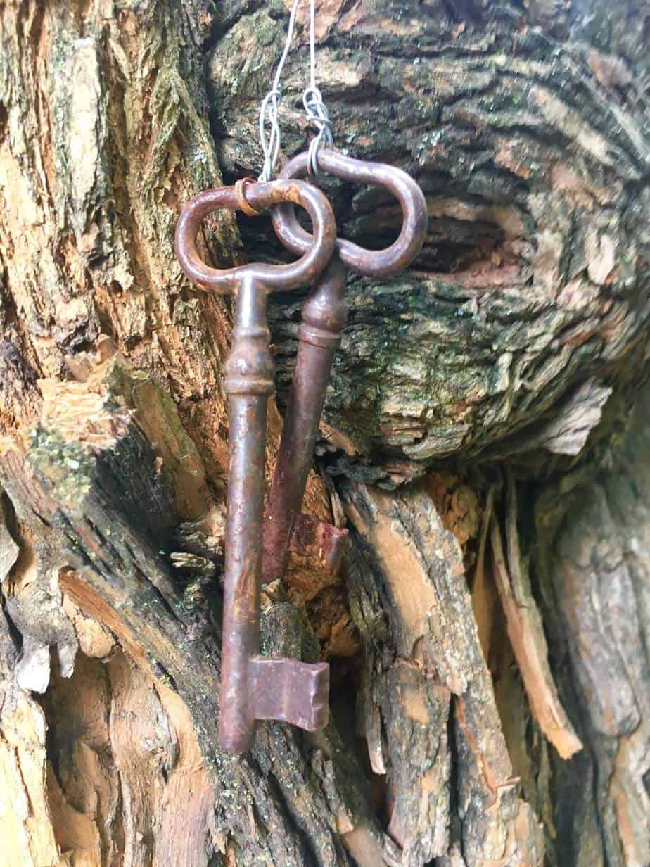 The Witches' Tree Louisville - Louisville Historic Tours